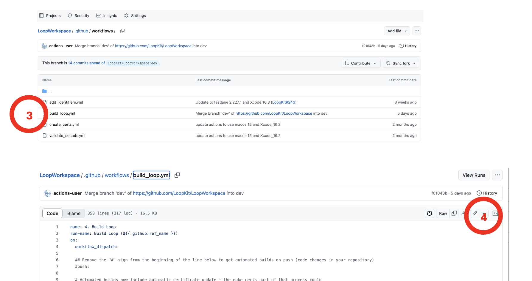 Loop 3.8 | Loop and Learn